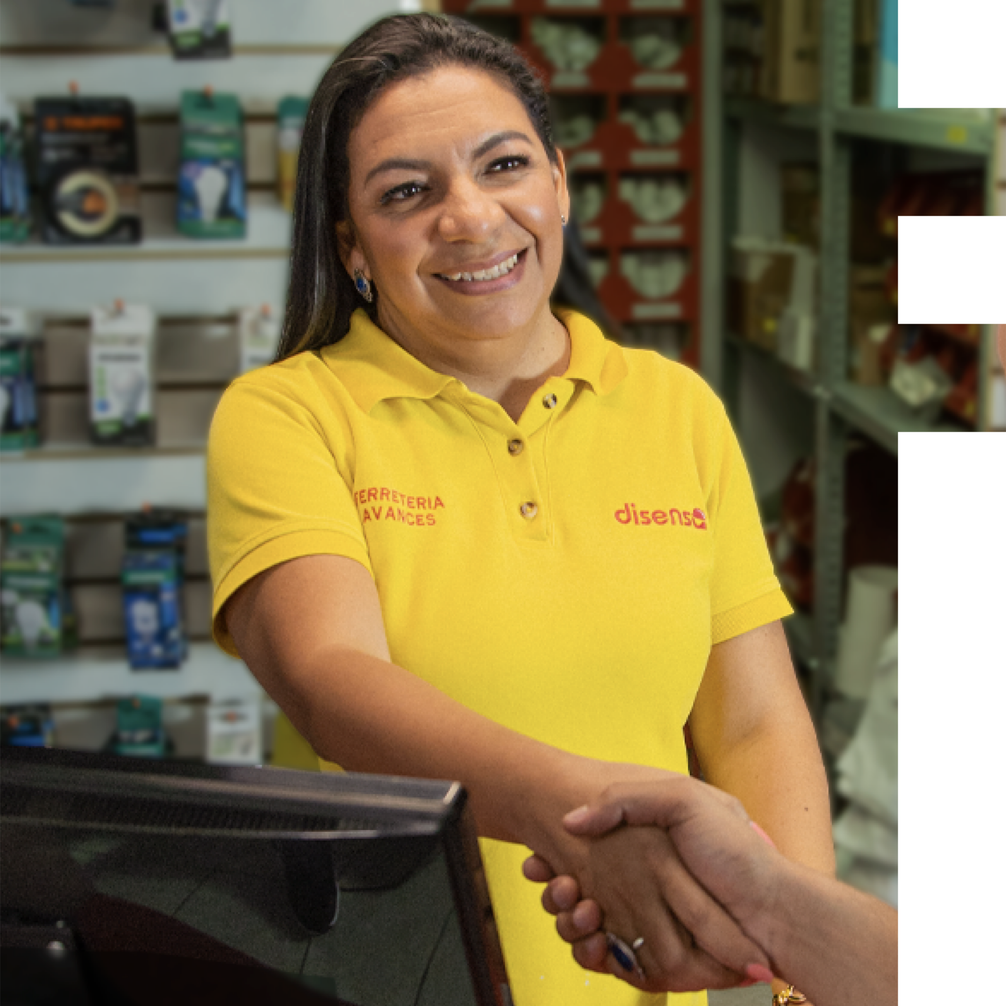 programas – Disensa El Salvador